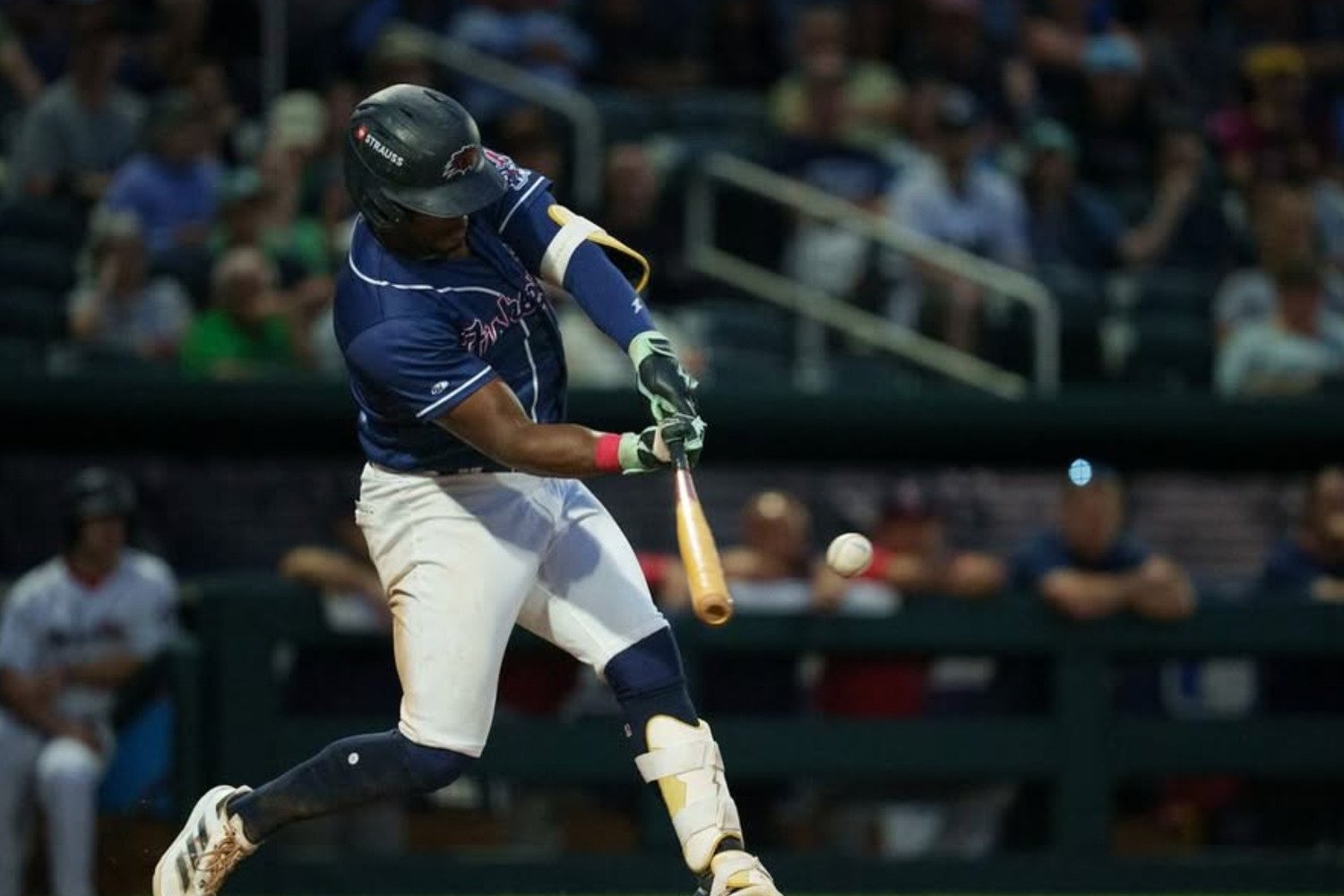 Blue Jays Minor League Recap: Home Run Power On Display and Kendry ...